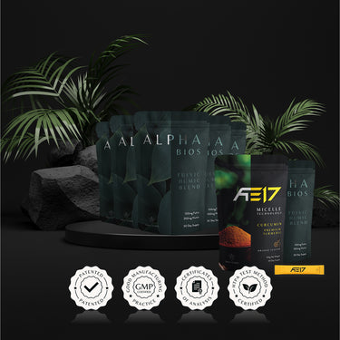 Theon Global – Theon Global