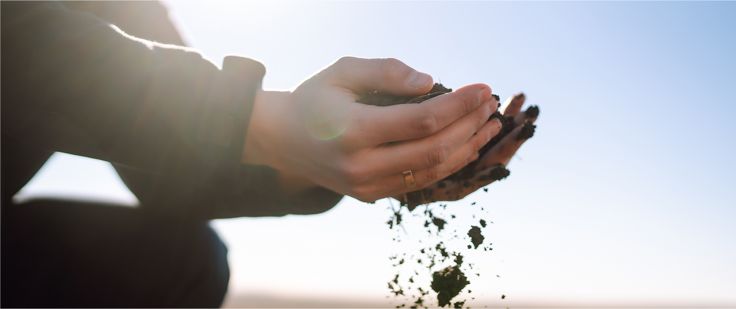 Alpha Bios – Theon Global