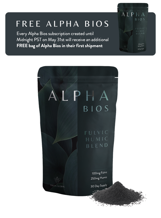 Theon Global – Theon Global